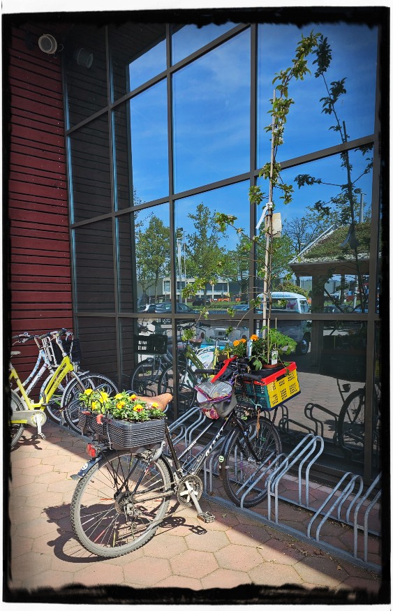 Fietsen – Leonies Paradijstuin