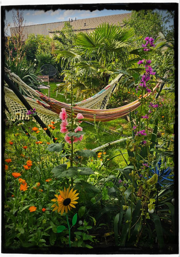 Mijn tuin 4 juli – Leonies Paradijstuin